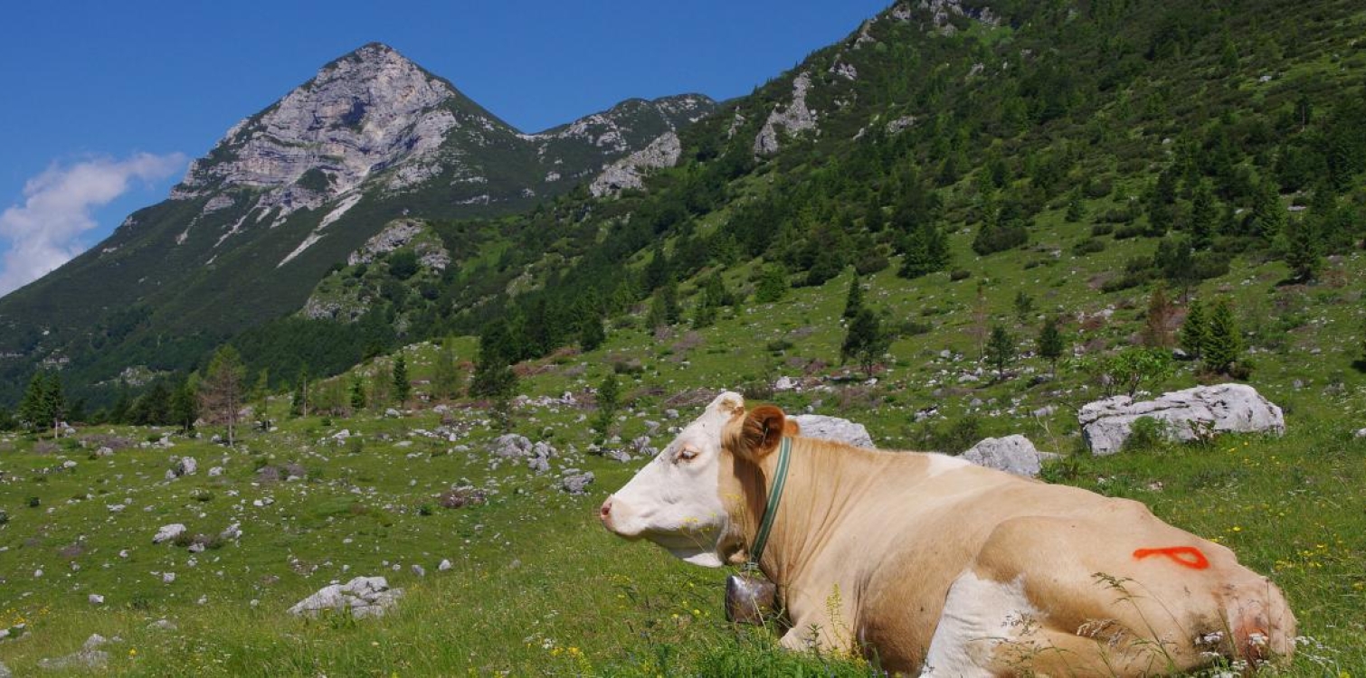 Planina Razor Trail | Triglav National Park