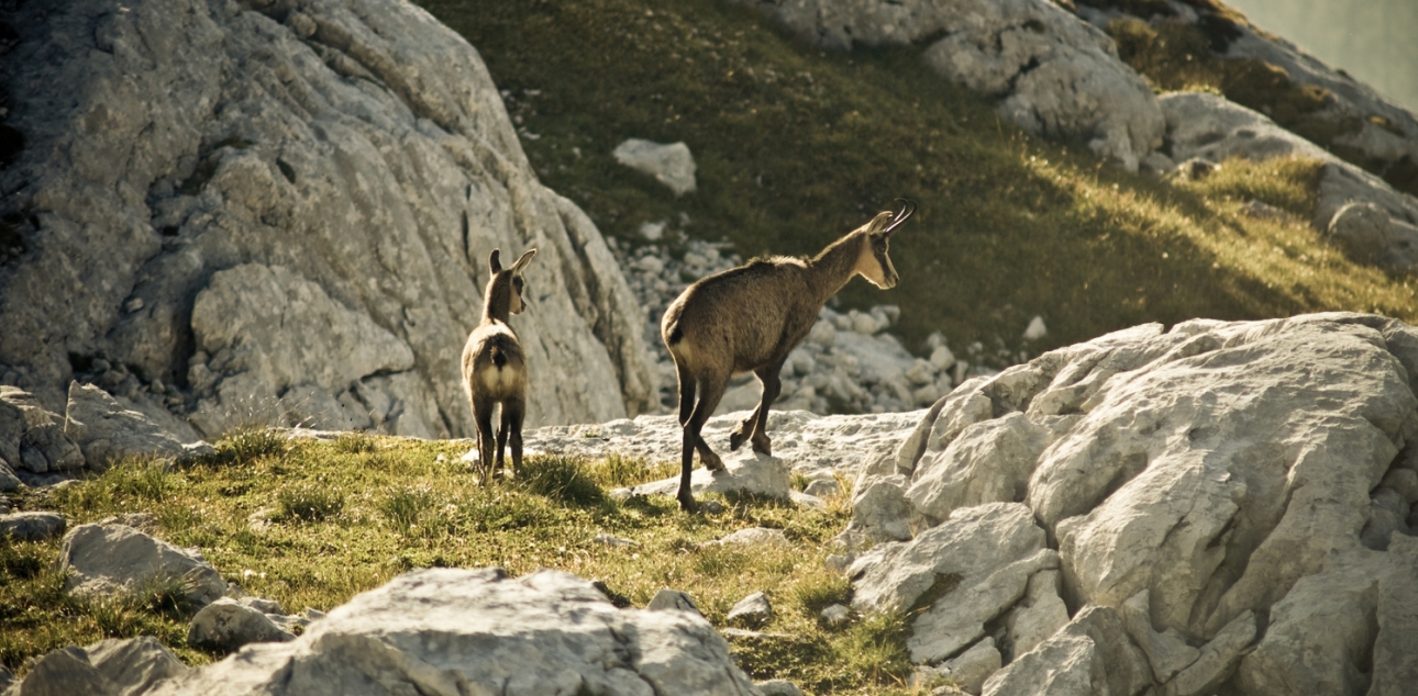 Management plan | Triglav National Park