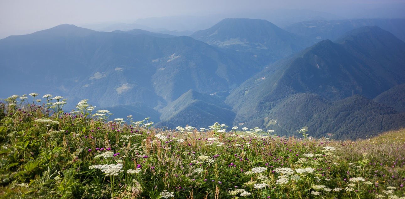 Ekosistemi | Triglavski narodni park
