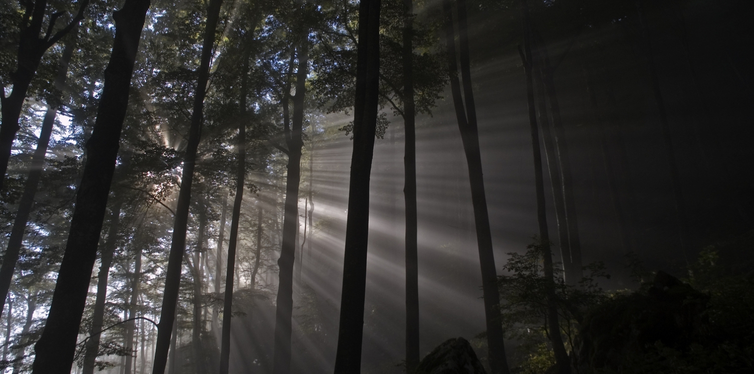 Myths and legends | Triglav National Park