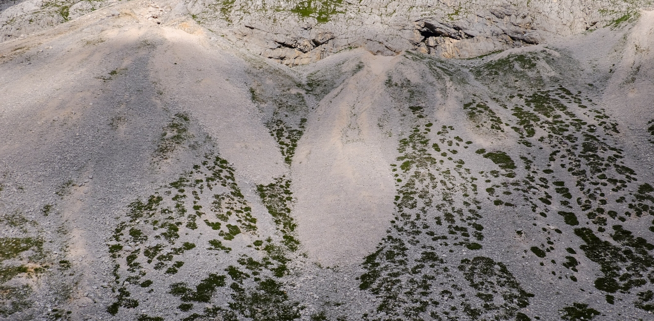 Ekosistemi | Triglavski narodni park